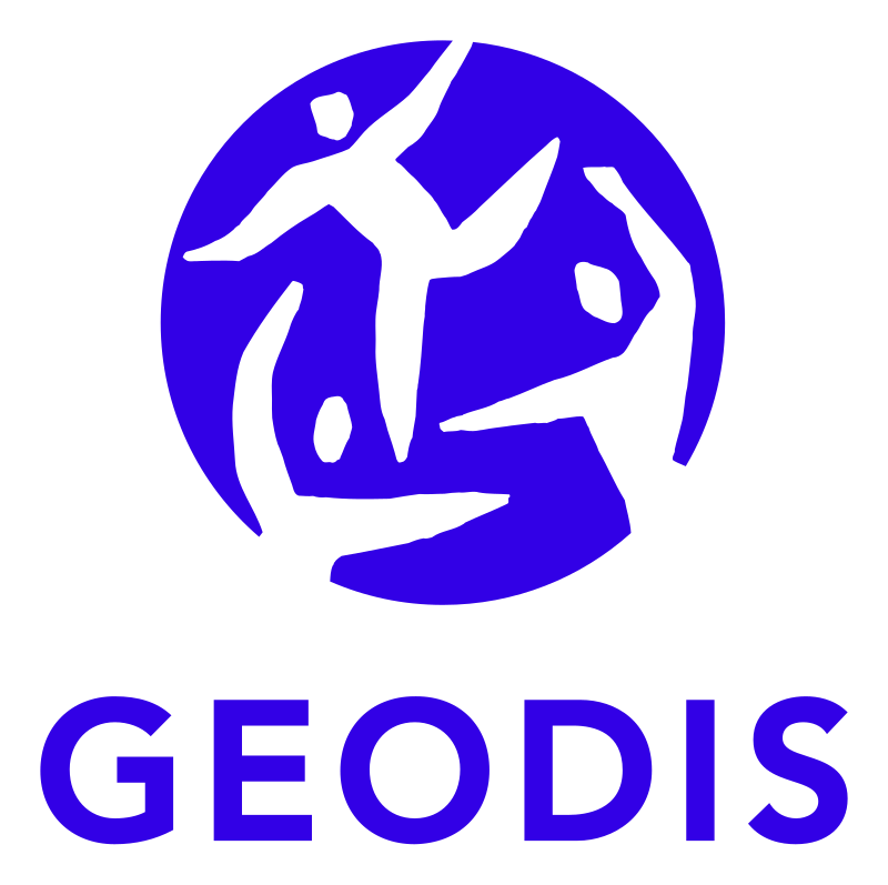 The best alternative to GEODIS in 2025